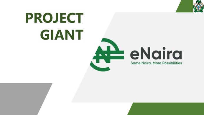 eNaira and Financial Inclusion: A case of more questions than answers